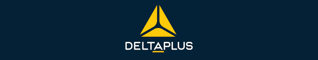 DELTAPLUS – MS Work